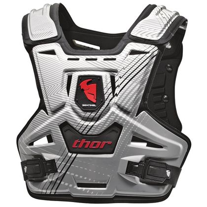Pare pierre Thor SENTINEL PROTECTOR LIVEWIRE - Motoblouz.com