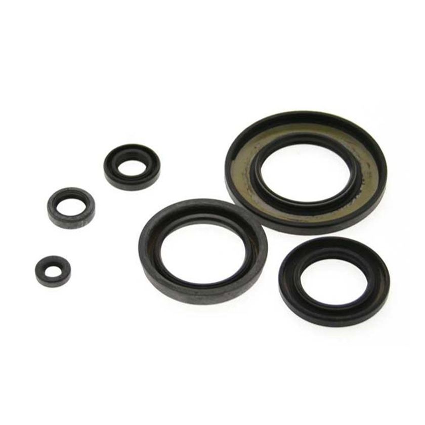 Gasket set Tour Max Oil seal kit - Motoblouz.com