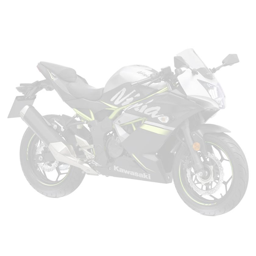 KAWASAKI NINJA 125 ABS (BX125A) 2021