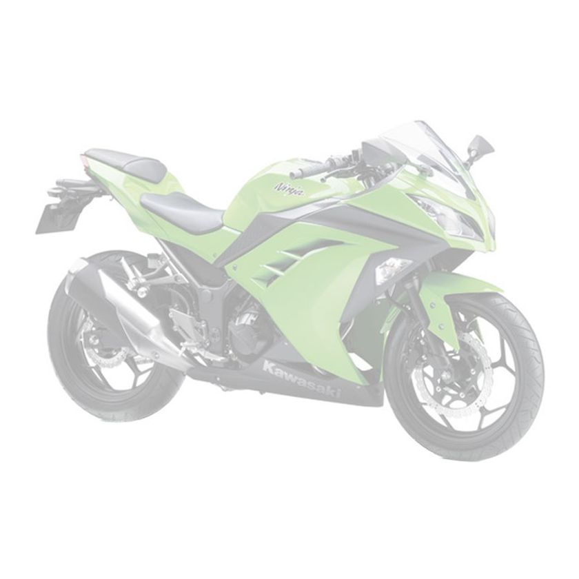 KAWASAKI NINJA 300 (EX300A) 2016